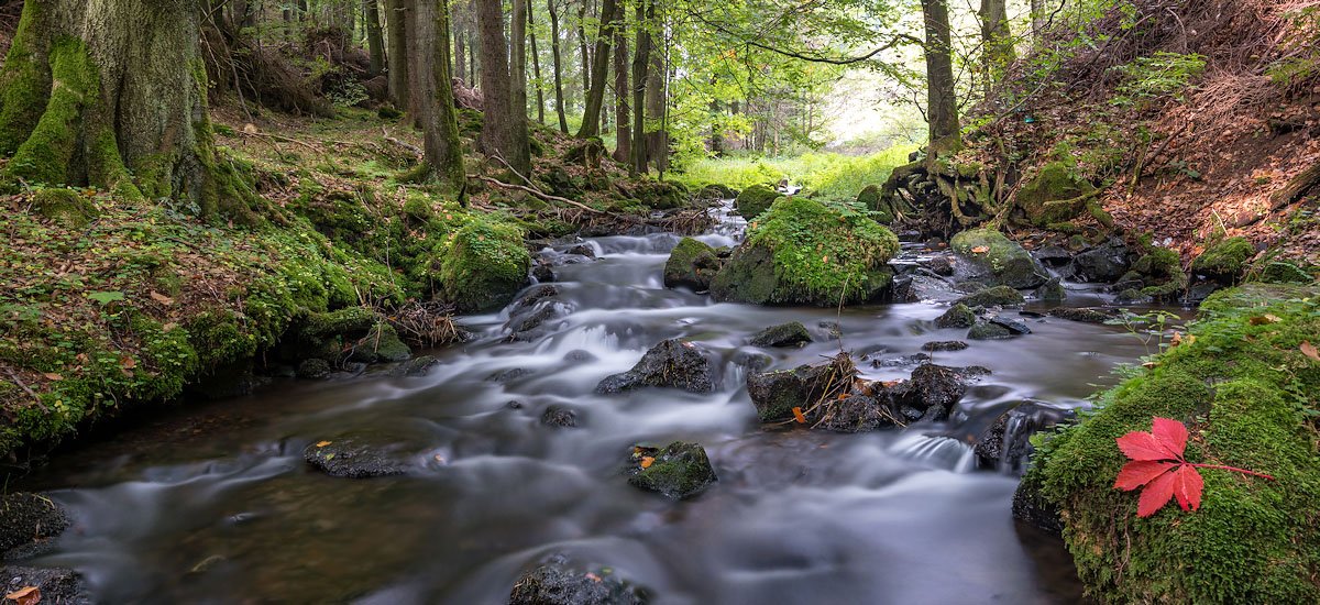 Rennsteig - Urlaub und Wandern mitten in Thüringen / Deutschland