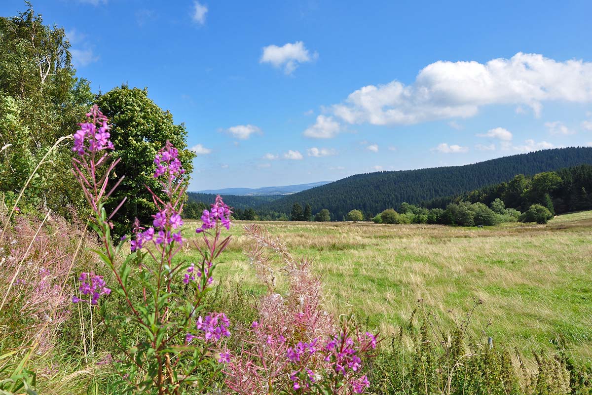 Hotel Kammweg - Neustadt am Rennsteig - Thüringer Wald